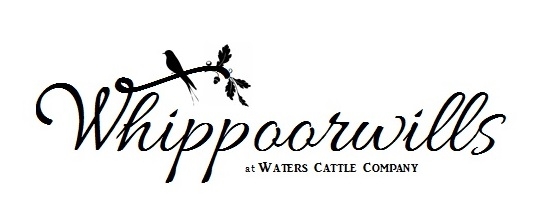 Whippoorwills at Waters Cattle (About) – Visit Florida Farms