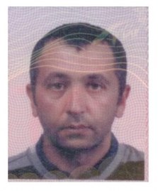 Find a Member - WAIS