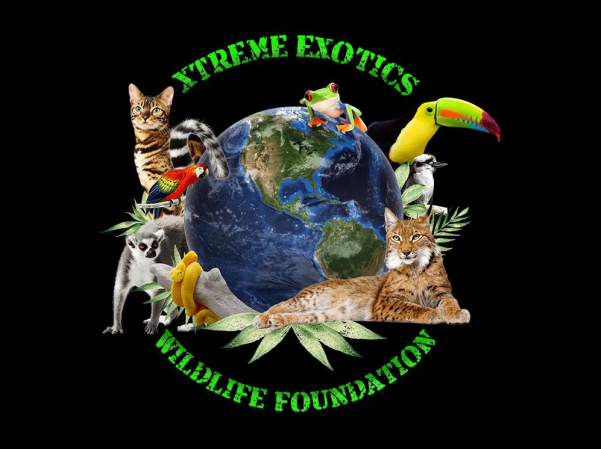 Xtreme Exotics Wildlife Foundation (About) – Visit Florida Farms