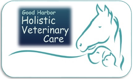 Lisa Melling (About) – AHVMA