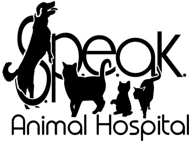 Ashley Vail (About) – AHVMA