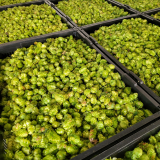 Ohio Proud Partners | Ohio Proud