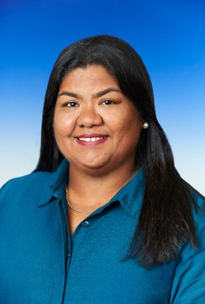 Divina D'Anna MLA (About)